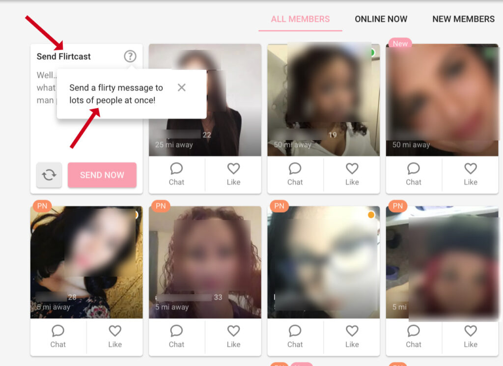 AskMe4Date Review (2025) - Is It The Best Dating Site?